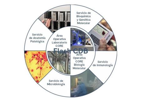 Hospital Clínic | CDB Catàleg